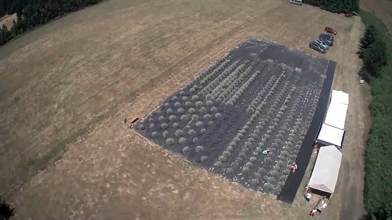 2023 Season and Markets – 3 Strands Farm